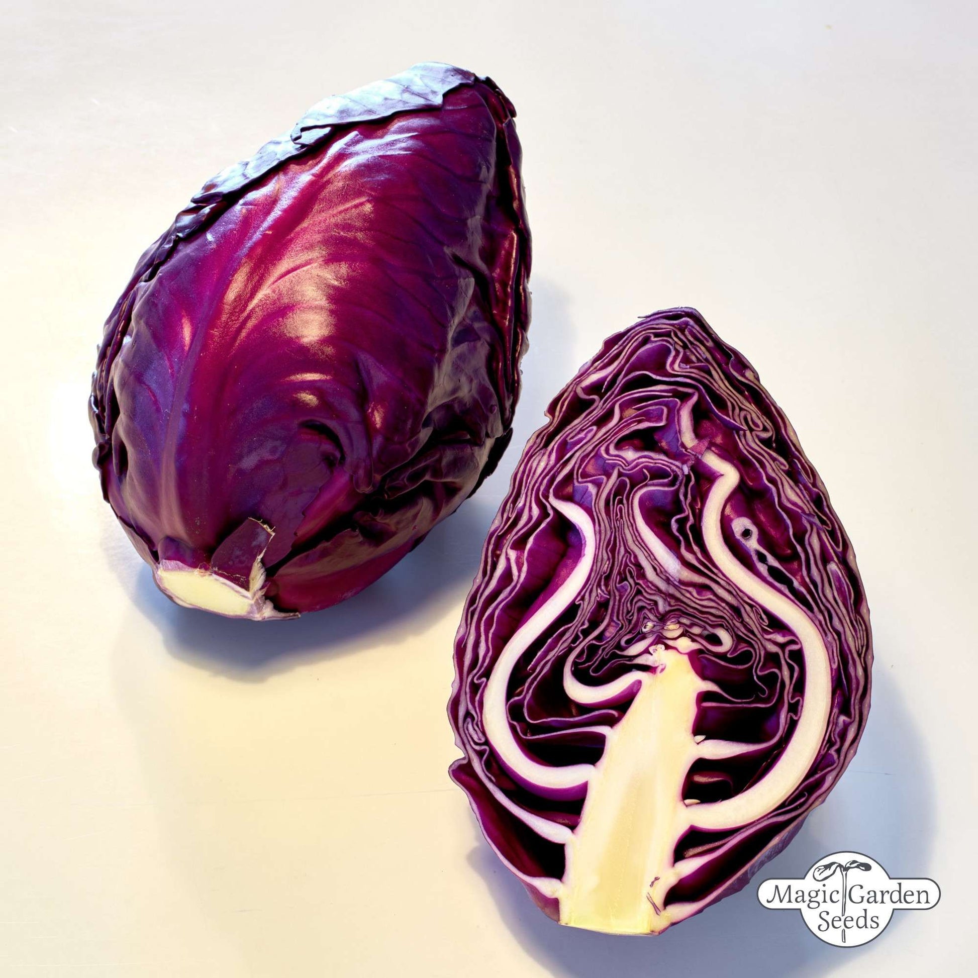Roter Spitzkohl 'Kalibos' Samen Bio – Feggies